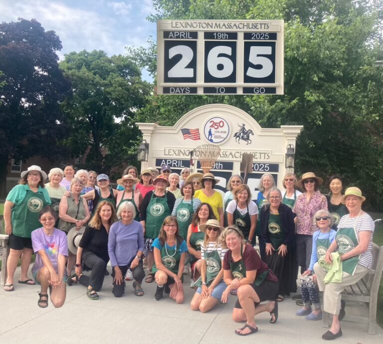 Countdown Calendar Archives - Lex250